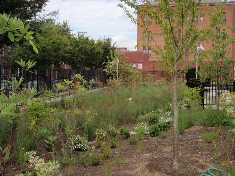 BMPs for stormwater infiltration | Minnesota Stormwater Manual