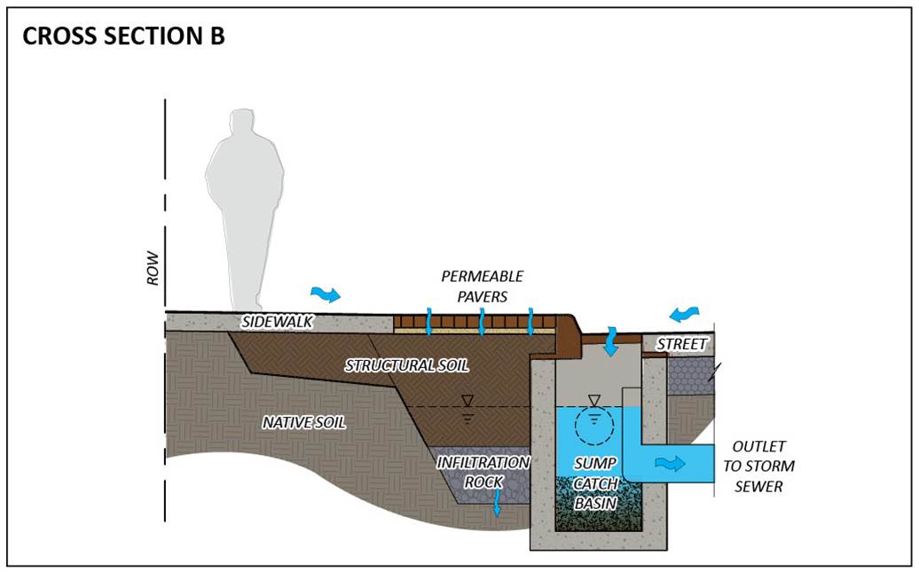 Case studies for tree trenches and tree boxes | Minnesota Stormwater Manual