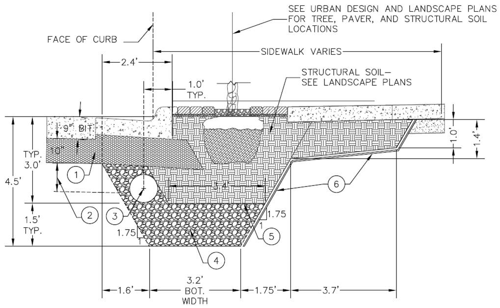 Case studies for tree trenches and tree boxes | Minnesota Stormwater Manual