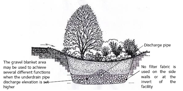 Stormwater management for lake protection and restoration | Minnesota ...