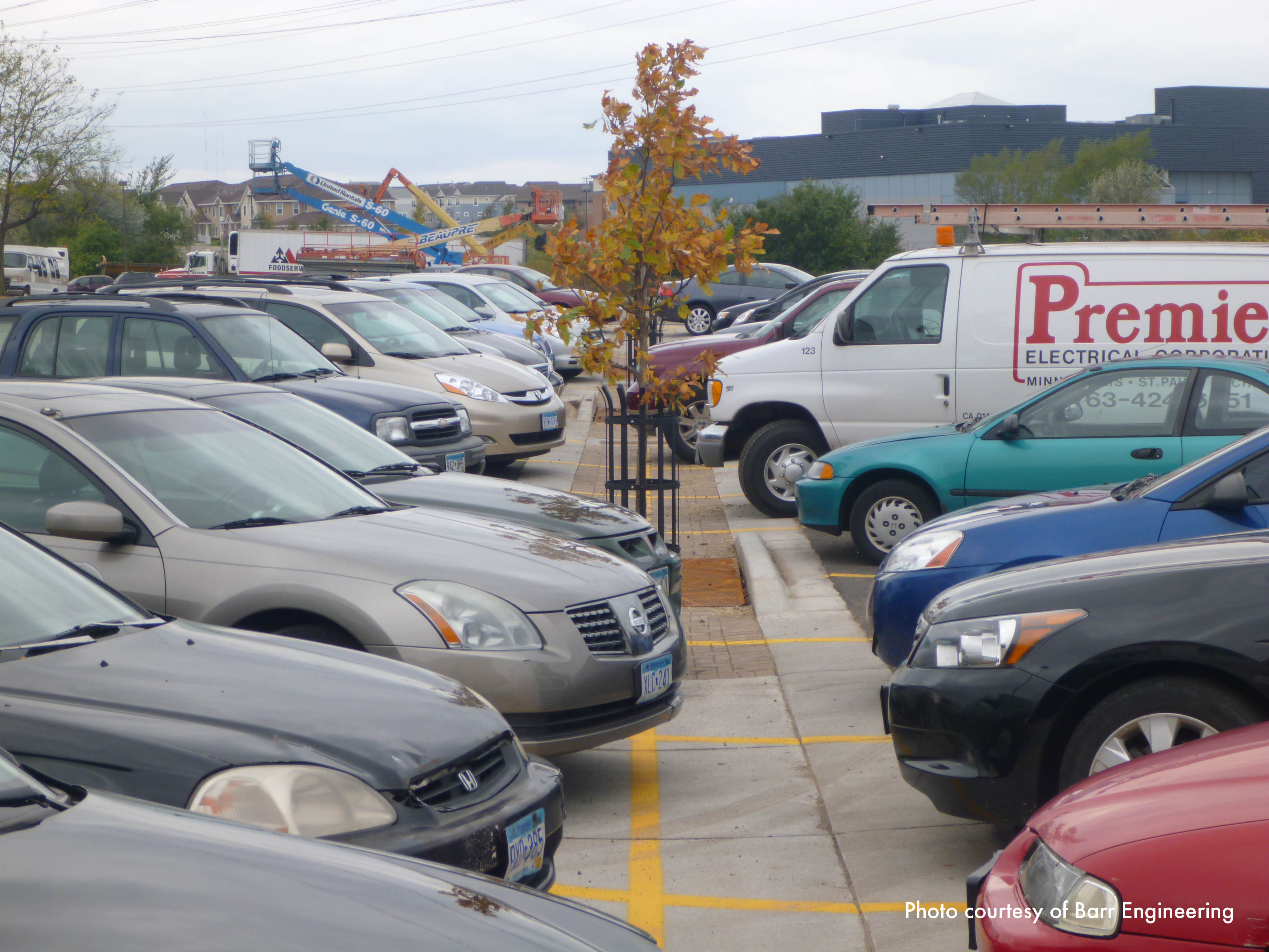 Case studies for tree trenches and tree boxes | Minnesota Stormwater Manual