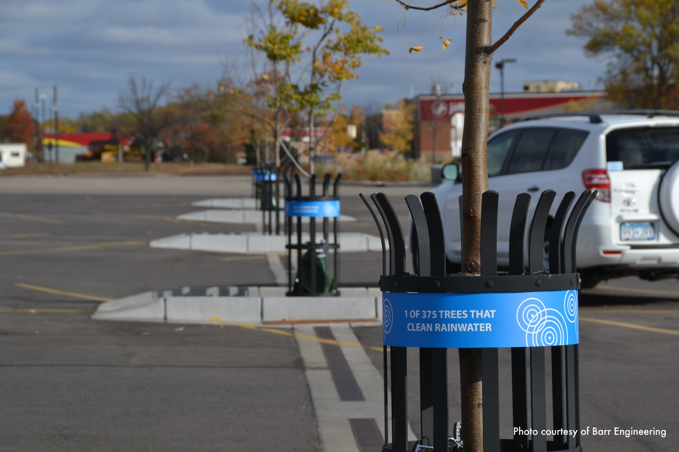 Case studies for tree trenches and tree boxes | Minnesota Stormwater Manual