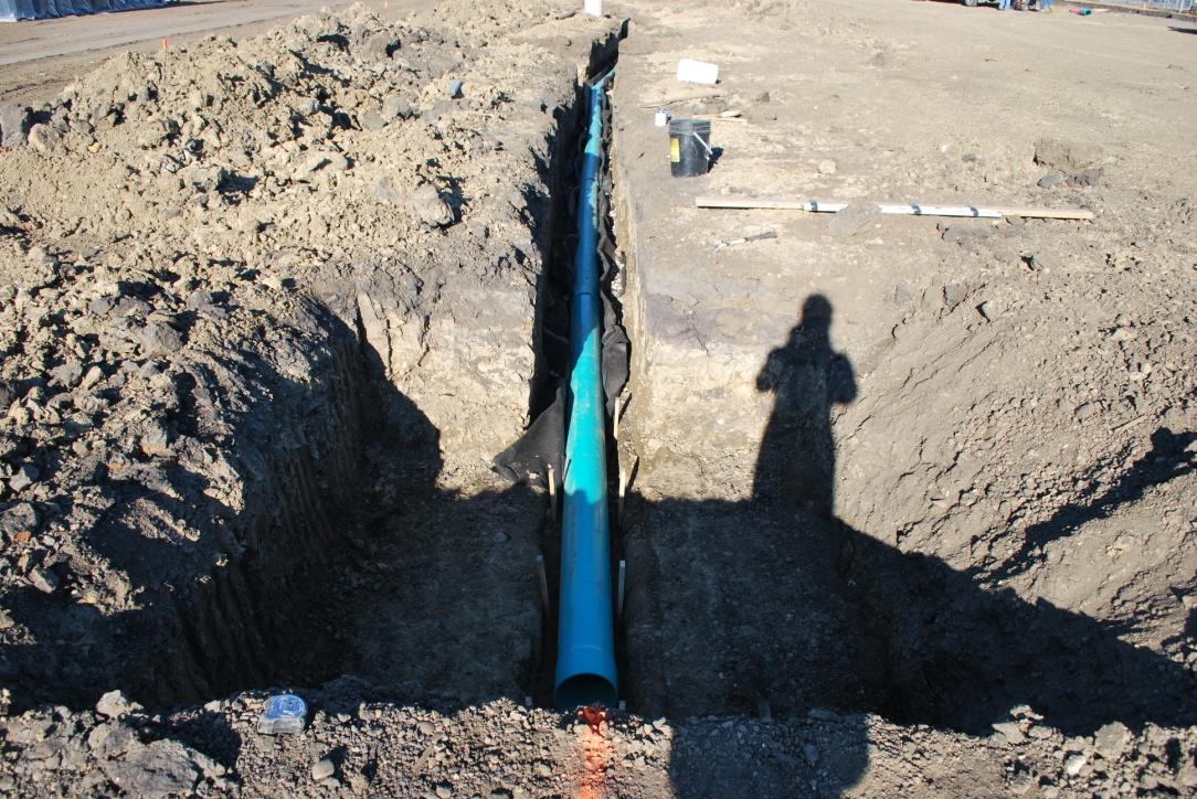 Case studies for tree trenches and tree boxes | Minnesota Stormwater Manual