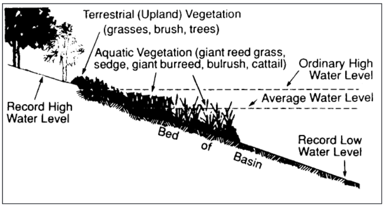 Sediment control practices - Buffer zones | Minnesota Stormwater Manual