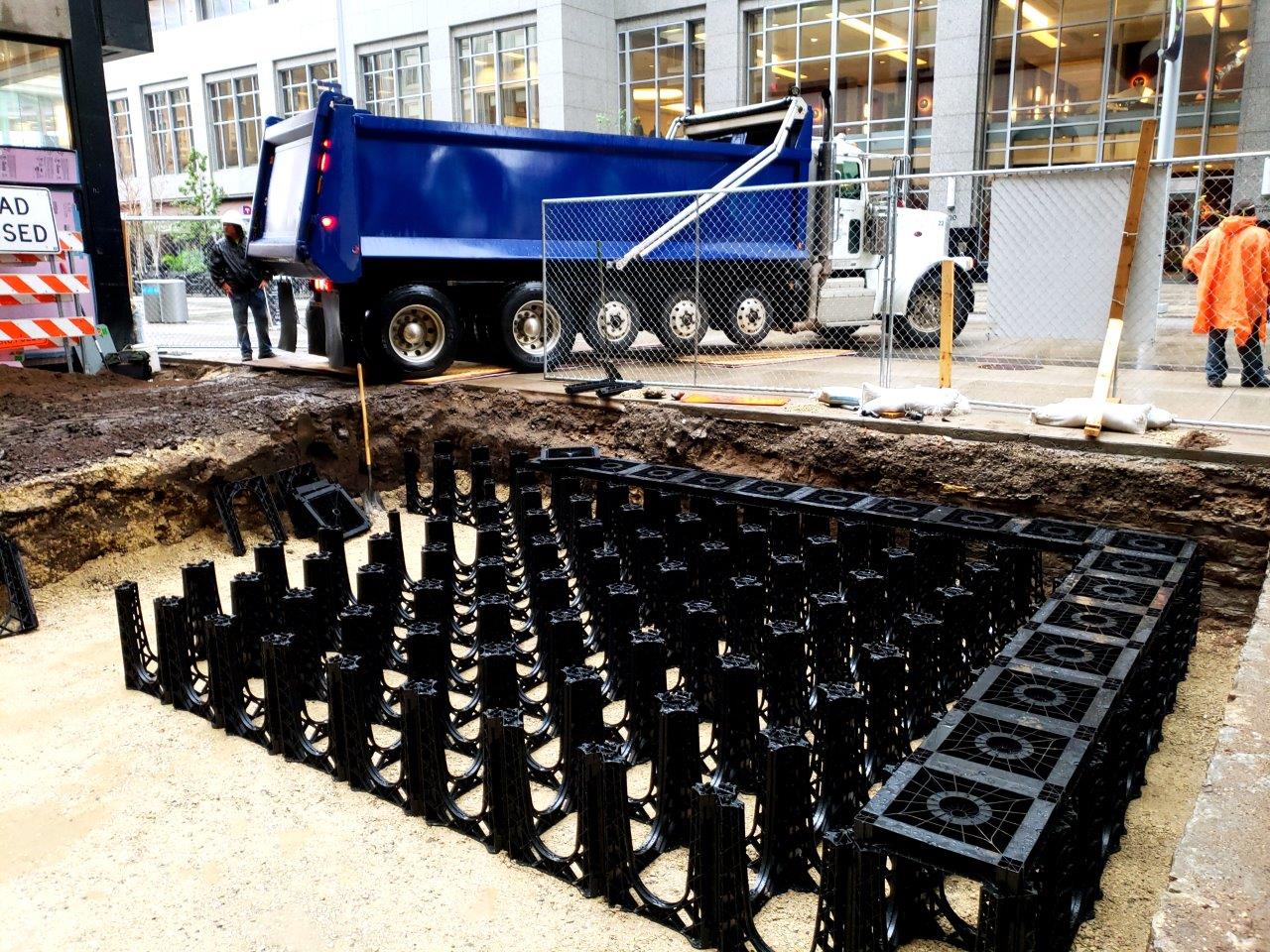 Construction guidelines for tree trenches and tree boxes | Minnesota ...