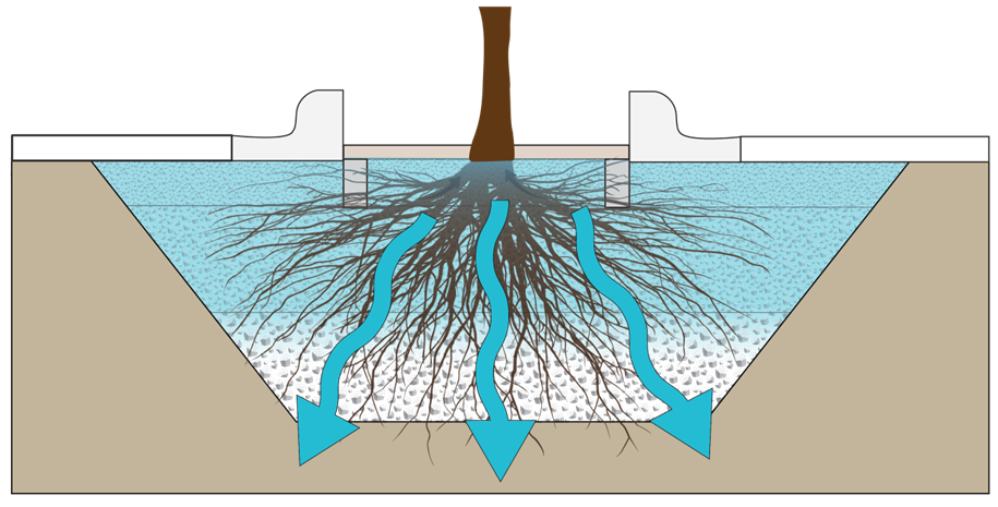 BMPs for stormwater infiltration | Minnesota Stormwater Manual