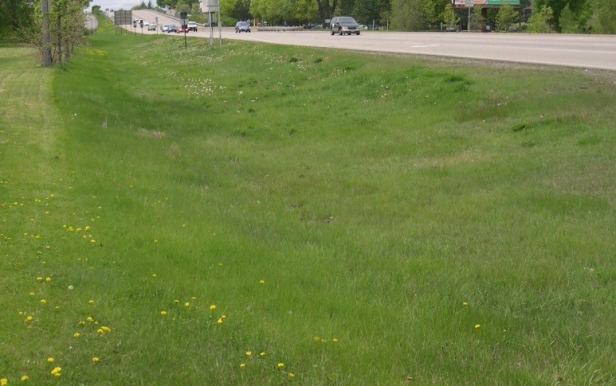 Assessing the performance of dry swale (grass swale) | Minnesota ...
